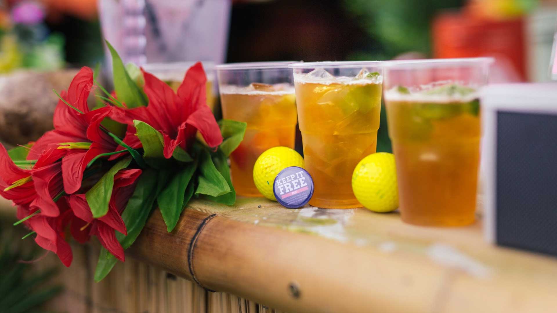 PLONK PICNIC - Plonk Golf